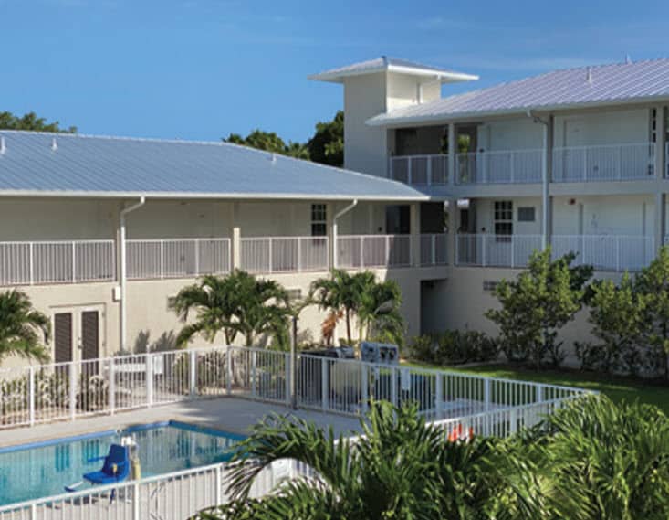 News, Trends & Updates | Peacock + Lewis